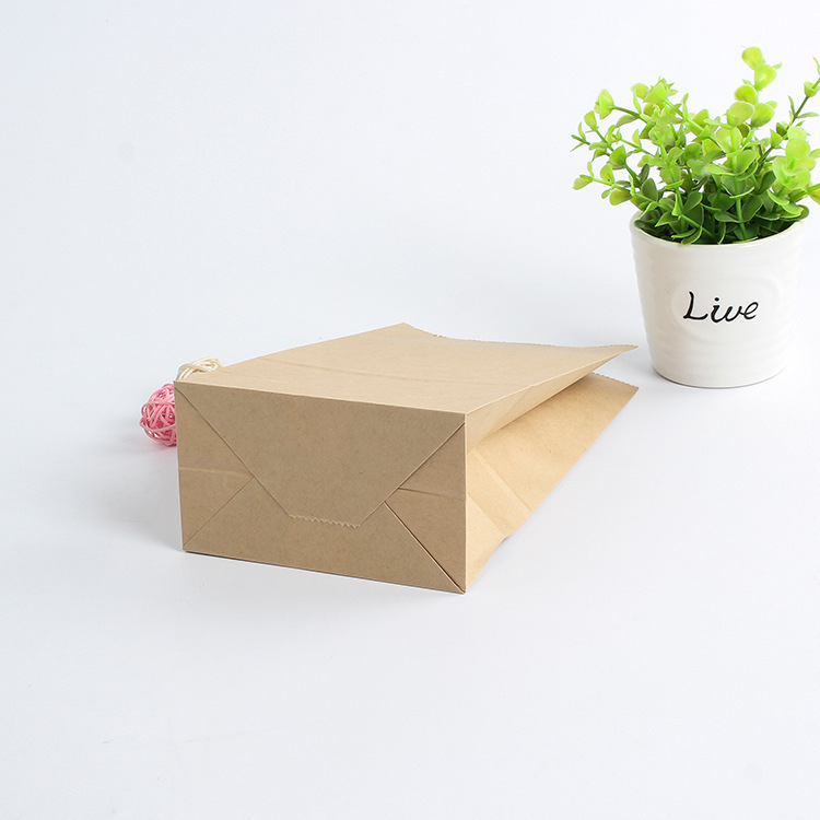 Factory Coated Oil-Proof Kraft Paper Bag | Paper Bag Manufacturers